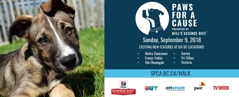 paws – 107.7 Pulse FM Radio